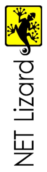 NET LIZARD :: Games development | Компания Нэт Лизард (NET Lizard ...