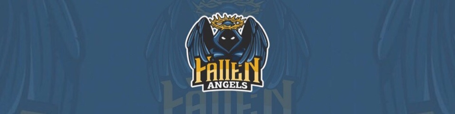 AnG | Fallen Angels | Бывшая Киберспортивная организация по игре ...